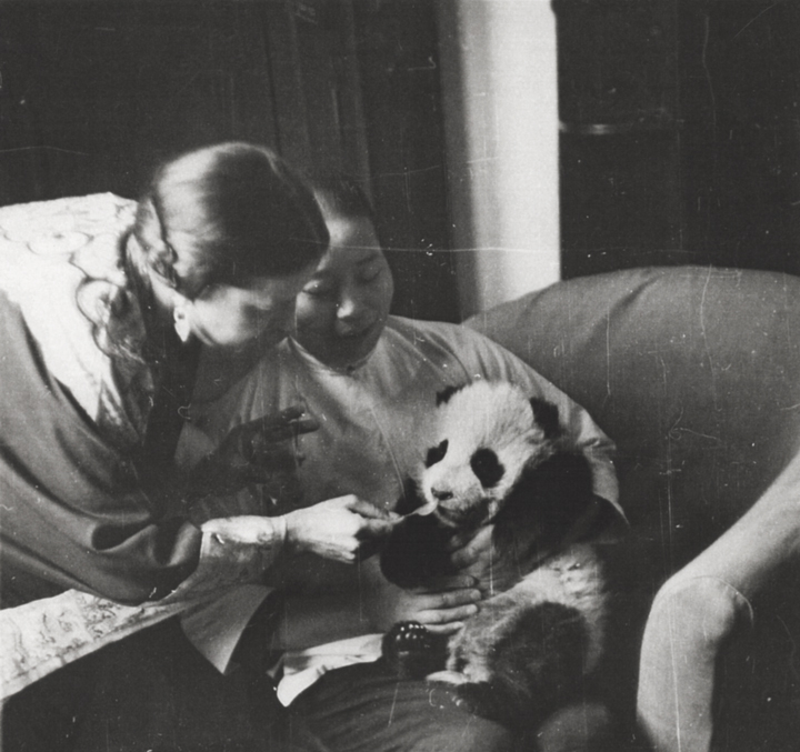 Ruth feeds a baby panda. | Vicki Constantine Croke